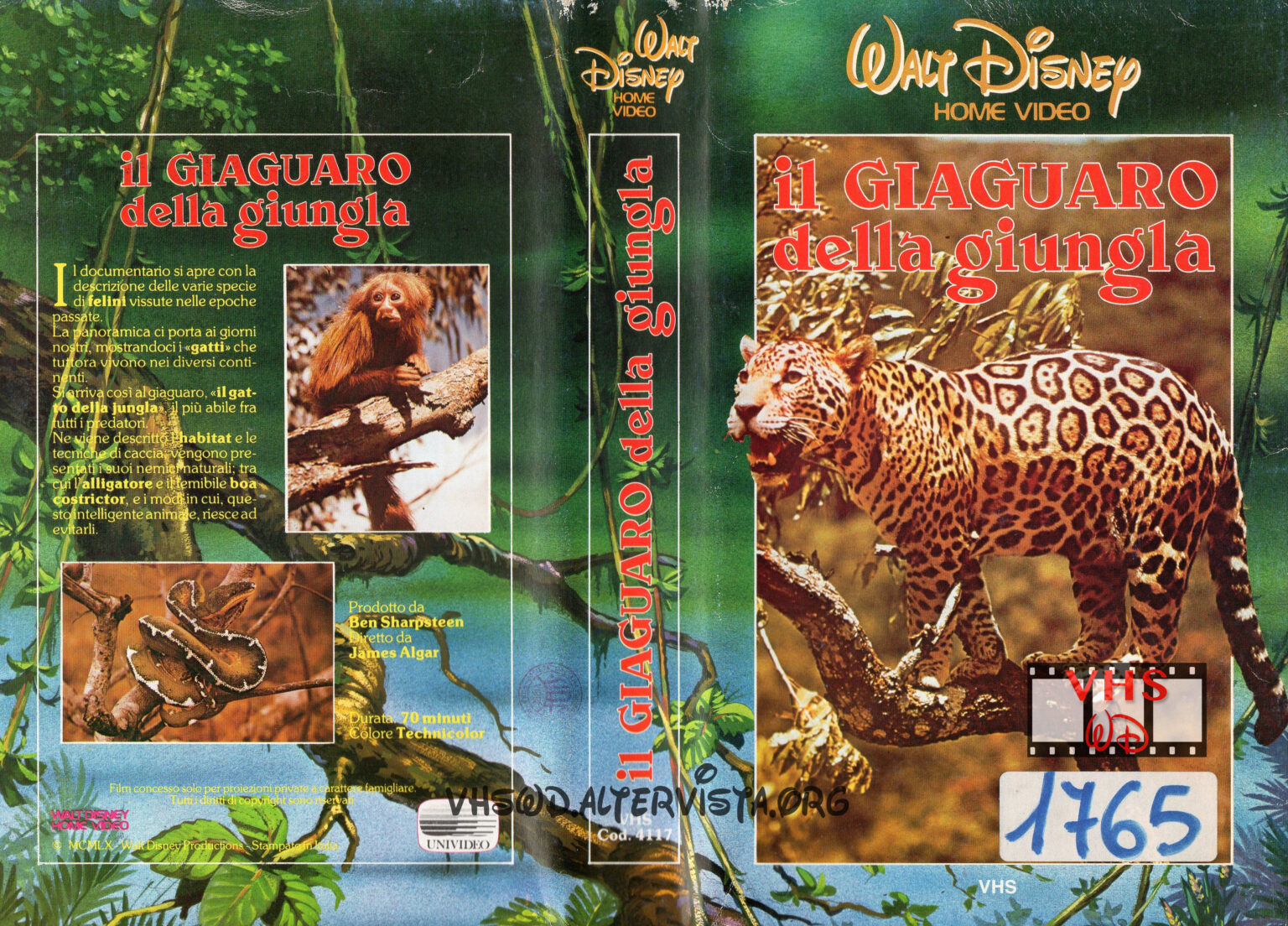 Il giaguaro della giungla | VHS Walt Disney